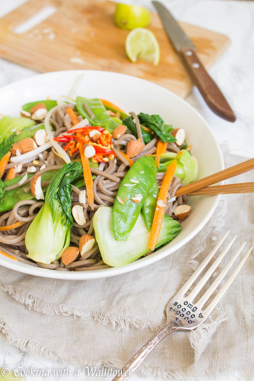 Fresh Vegetable Soba Noodle Salad with Soy Lime Vinaigrette